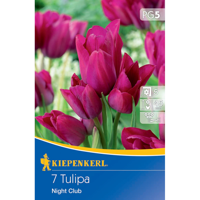 Tulipán Night Club
